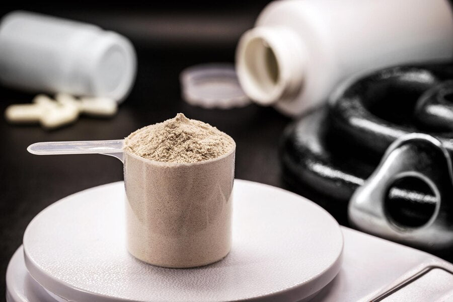 Top 10 Best Protein Powder in India: Buyer’s Guide – Spartan Nutrition