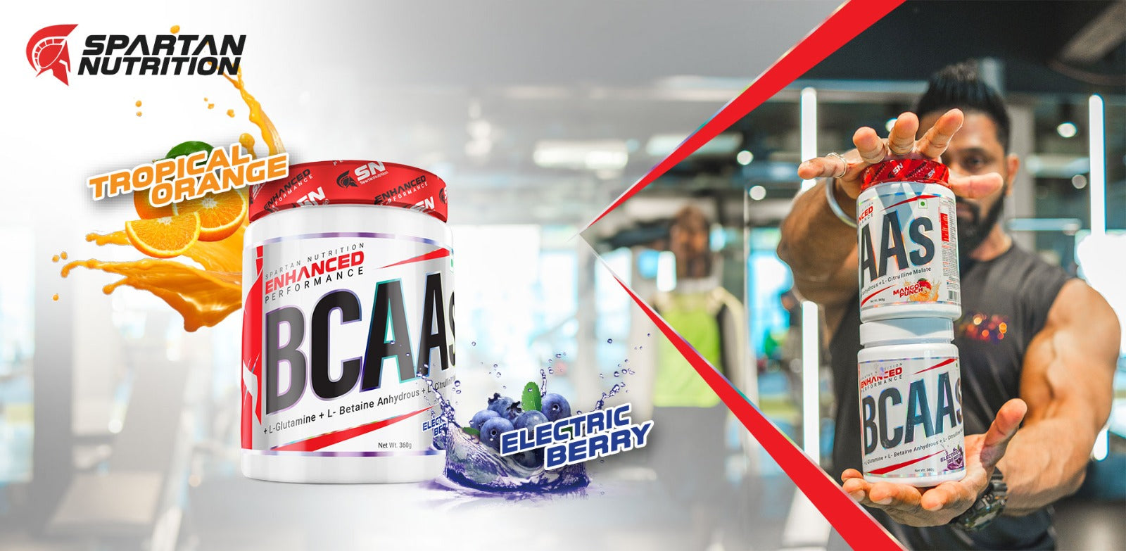 Best Whey Protein Powders and Plant Protein Powders. – Spartan Nutrition