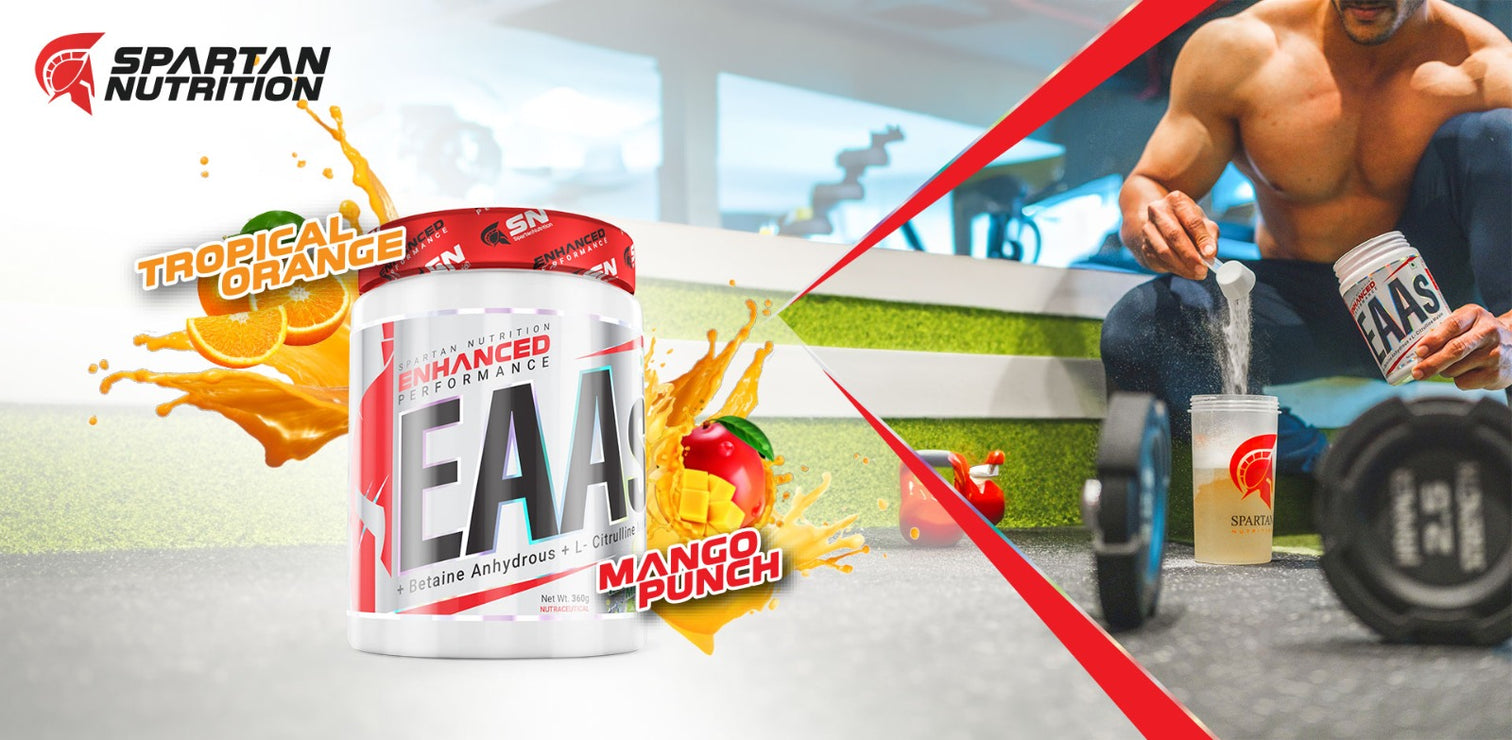 Best Whey Protein Powders and Plant Protein Powders. – Spartan Nutrition